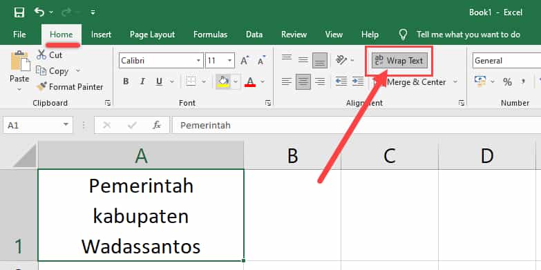 2 Cara Membuat Tulisan Dua Baris Excel Mudah [Bisa Lebih]
