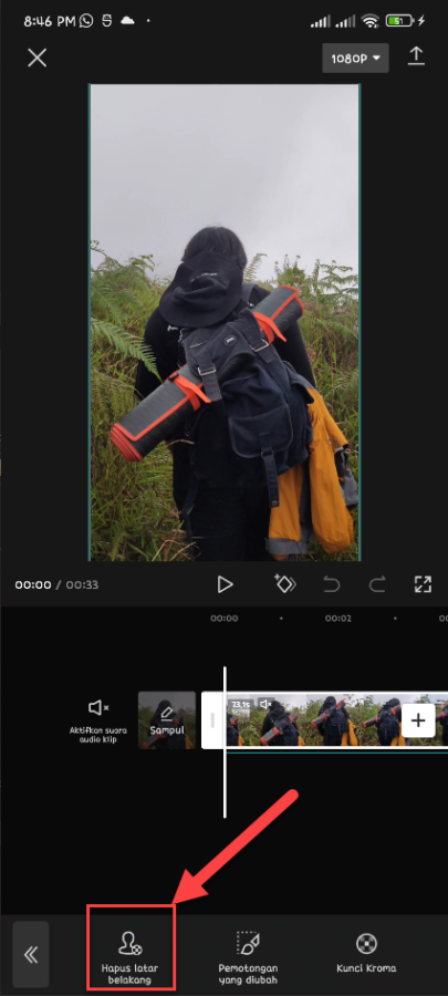 2 Cara Hapus Background di Capcut [Komputer / HP]